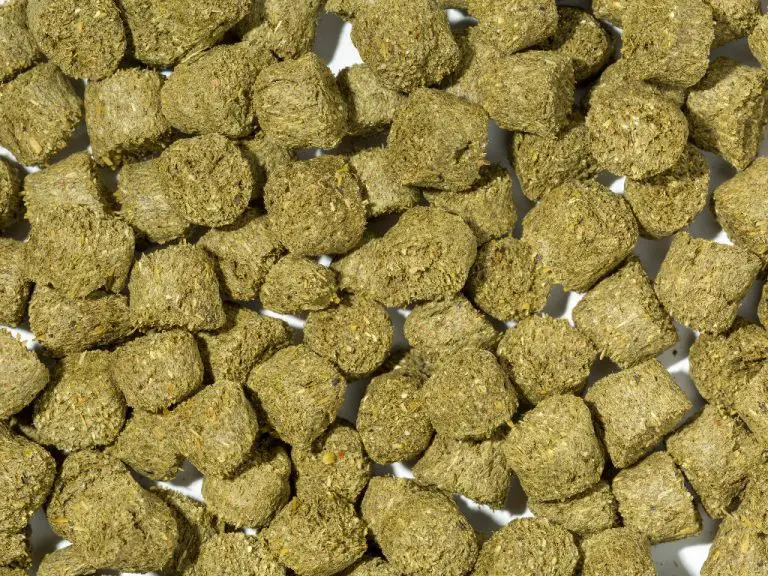 What Are Rabbit Pellets: Ingredients, Types, and Choosing the Right ...
