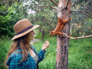 Are Squirrels Intelligent: How Squirrels Use Their Intelligence for ...